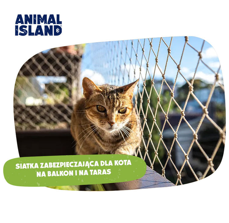 Cat net for balcony - types, installation